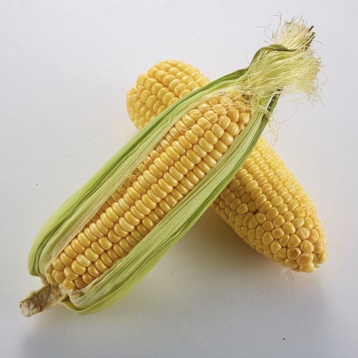 Sweet Corn - punnet - Papyrus Natural