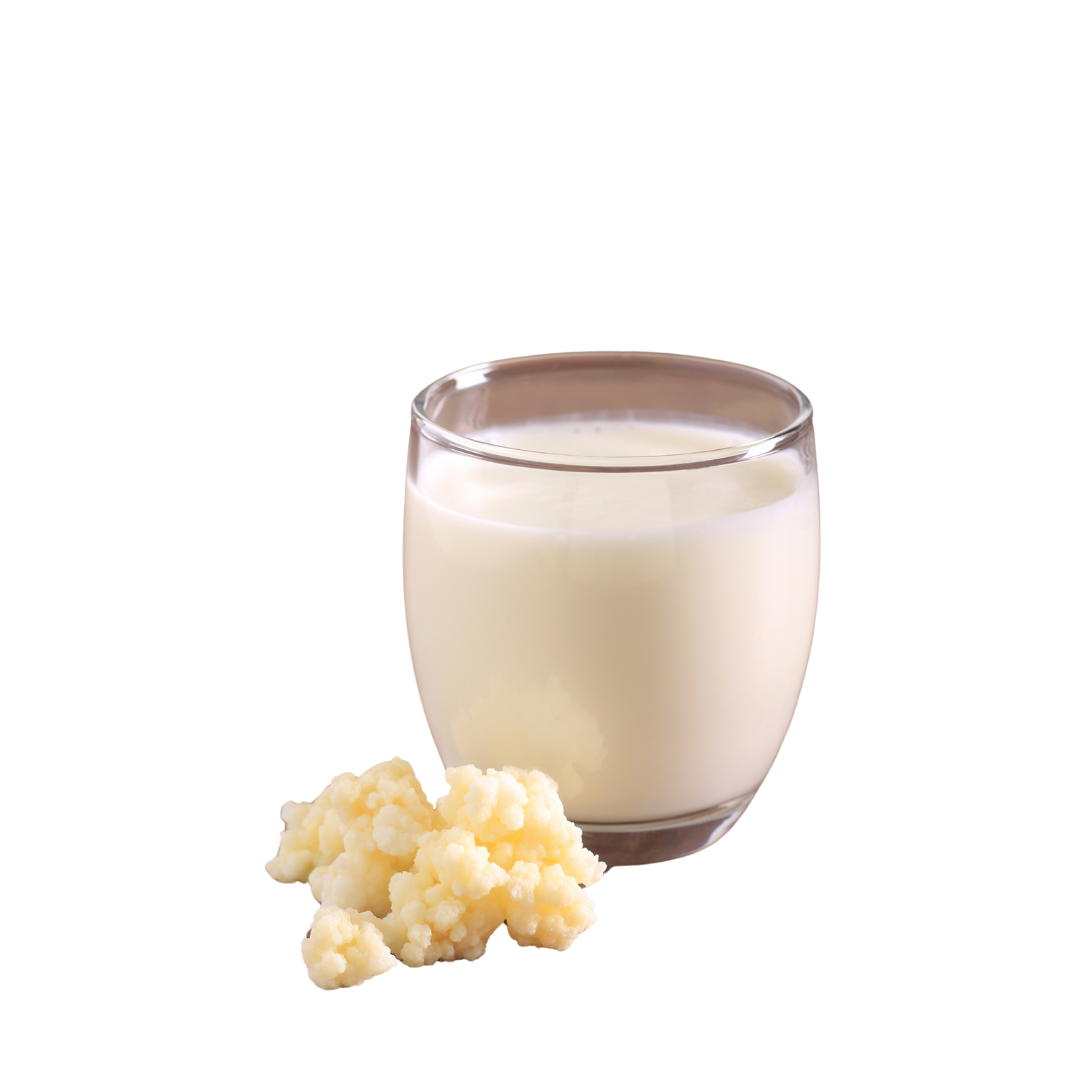 Kefir Milk 1L - Papyrus Natural