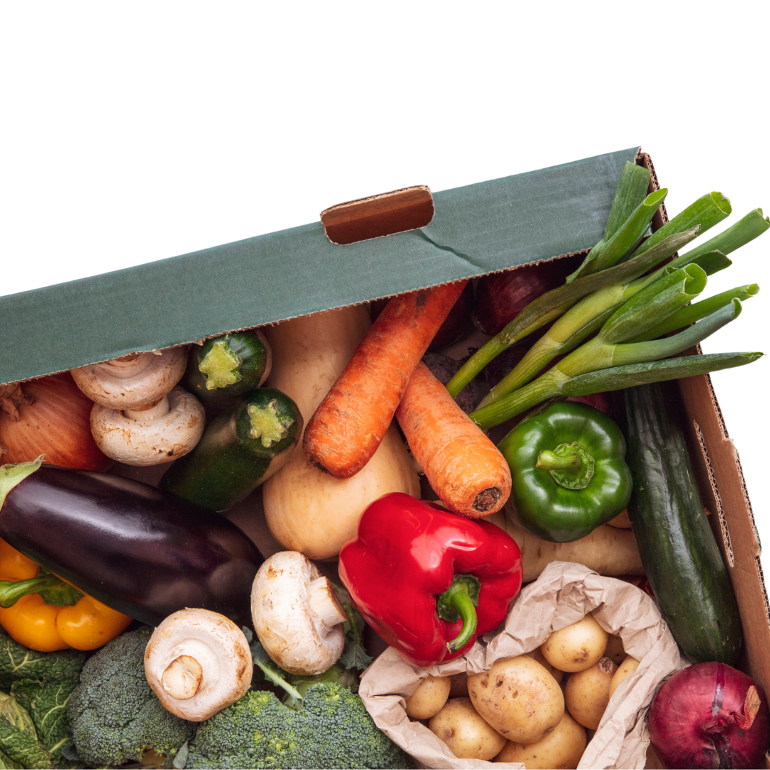 Seasonal Veggie Box 4/pax - Papyrus Natural